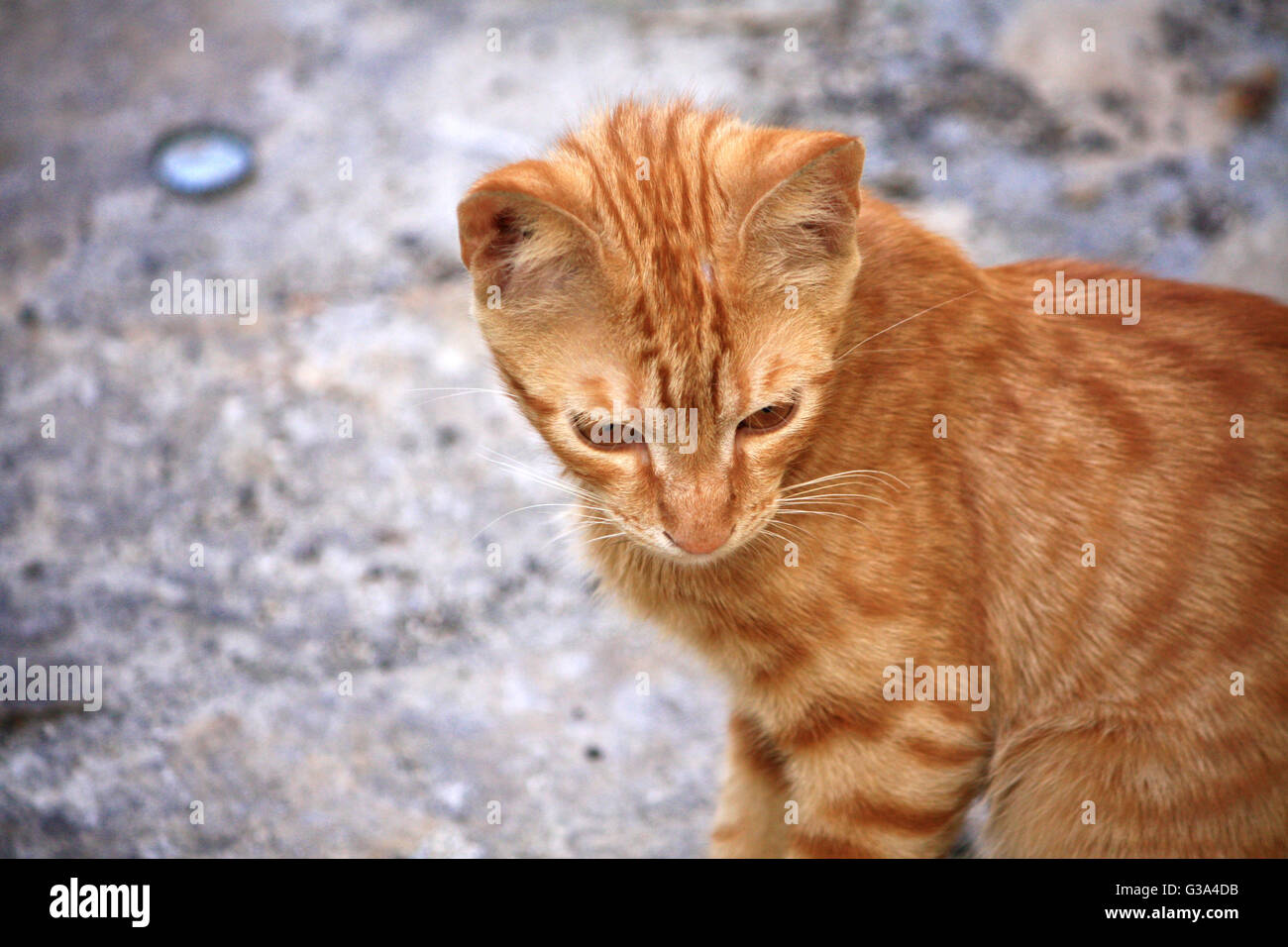 Stray light hi-res stock photography and images - Alamy