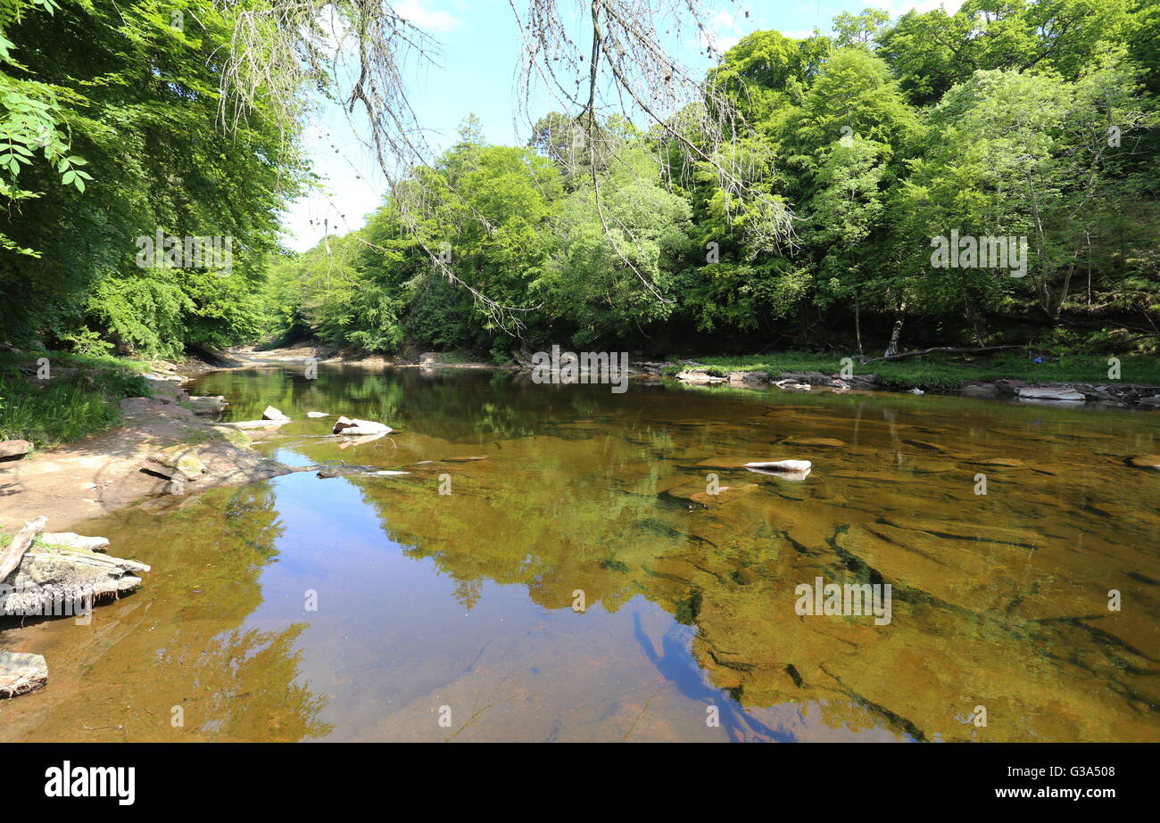 Edzell river esk hi-res stock photography and images - Alamy