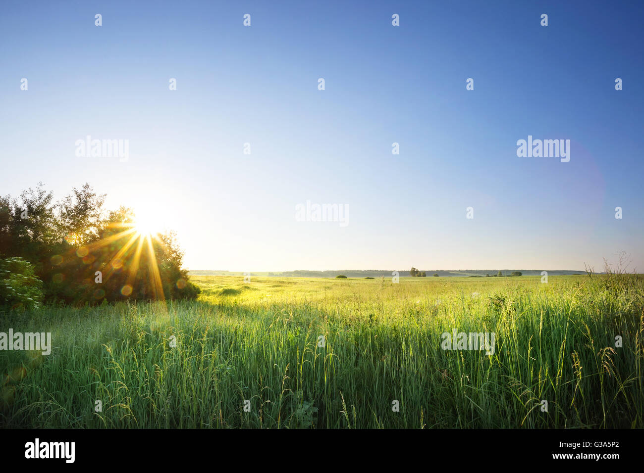 Outdoor under sun sunlight hi-res stock photography and images - Alamy