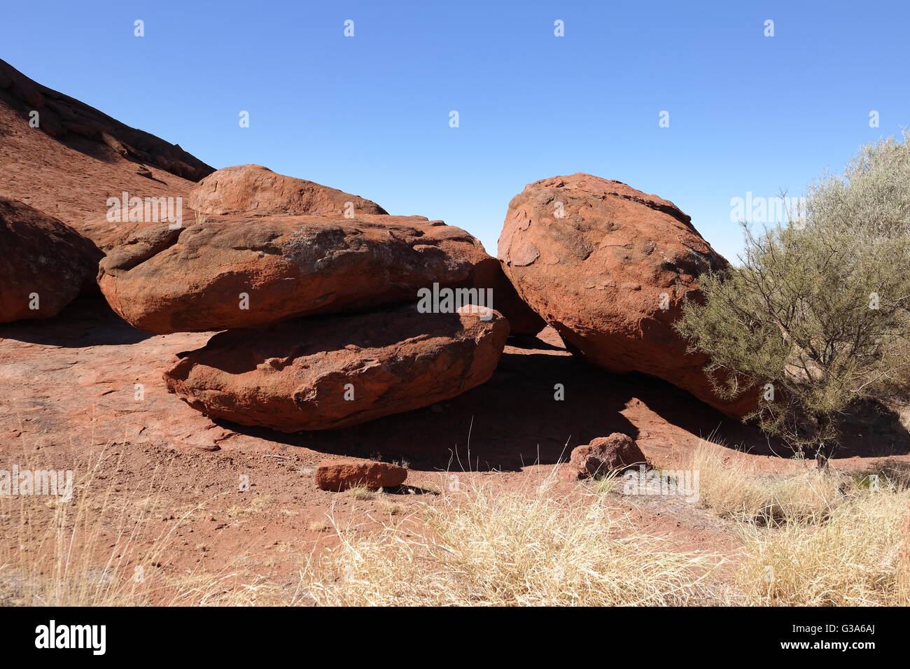 Ayers rock and wildlife hi-res stock photography and images - Alamy