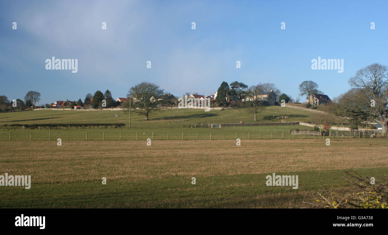 Hutton buscel hi-res stock photography and images - Alamy