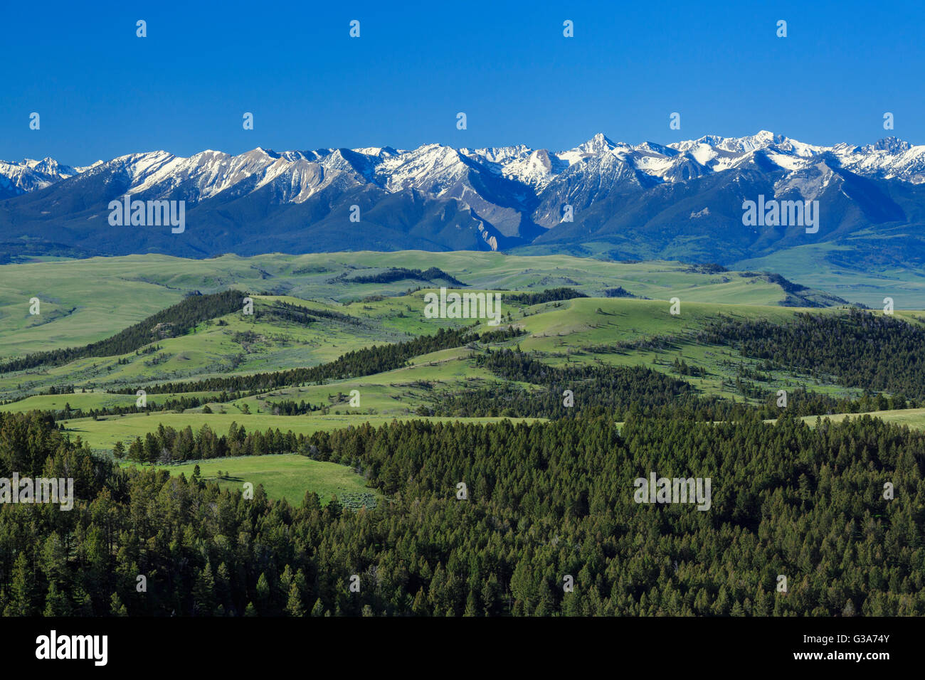 absaroka range viewed from hills above the yellowstone valley near ...