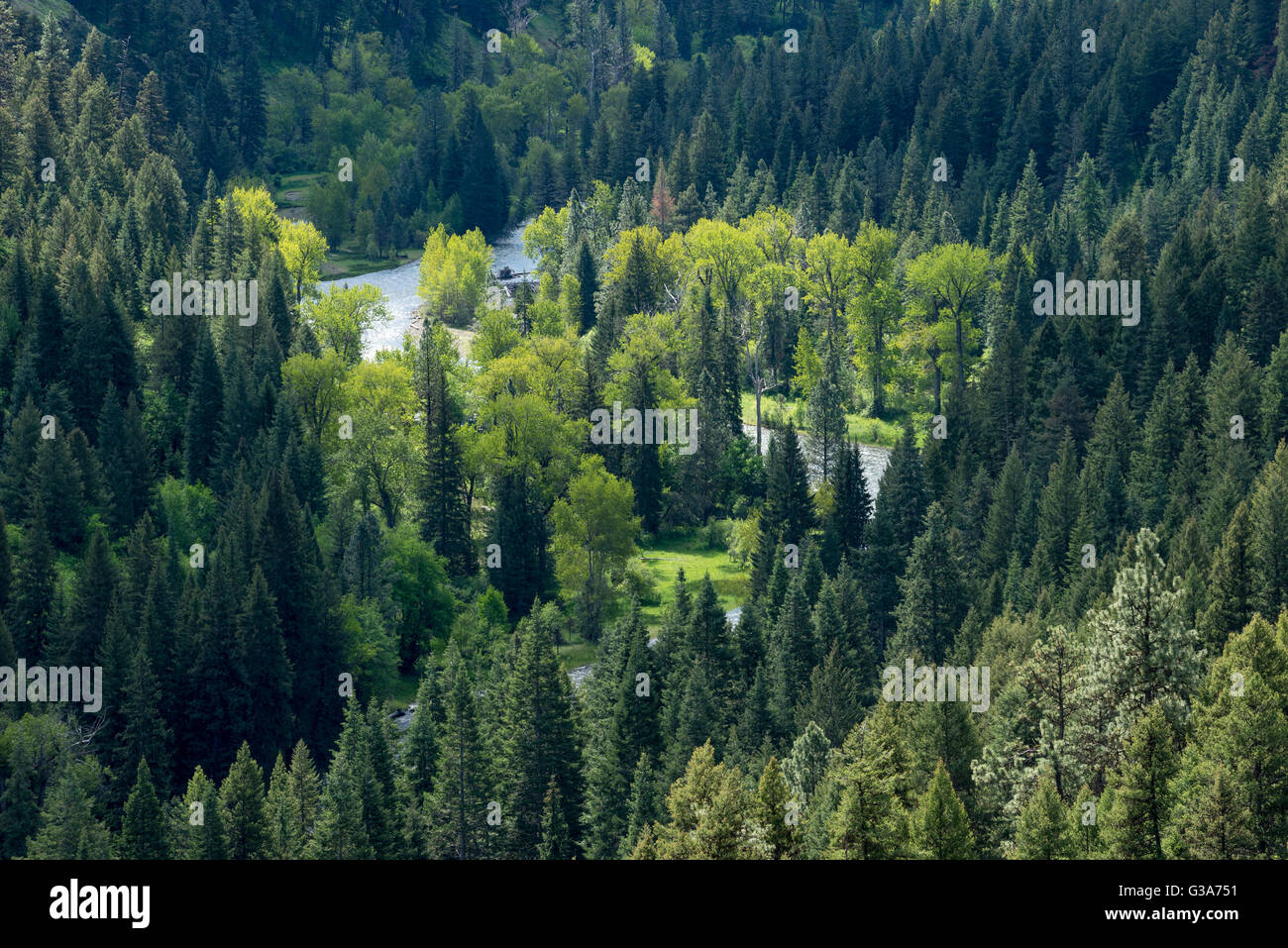 Minam River flowing through Oregon's Wallowa Mountains Stock Photo - Alamy