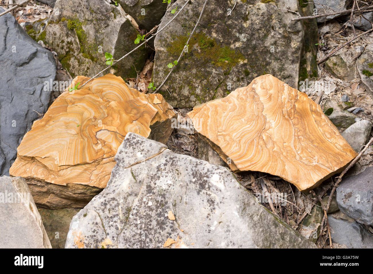 Picture sandstone rocks, Southern Utah Stock Photo - Alamy