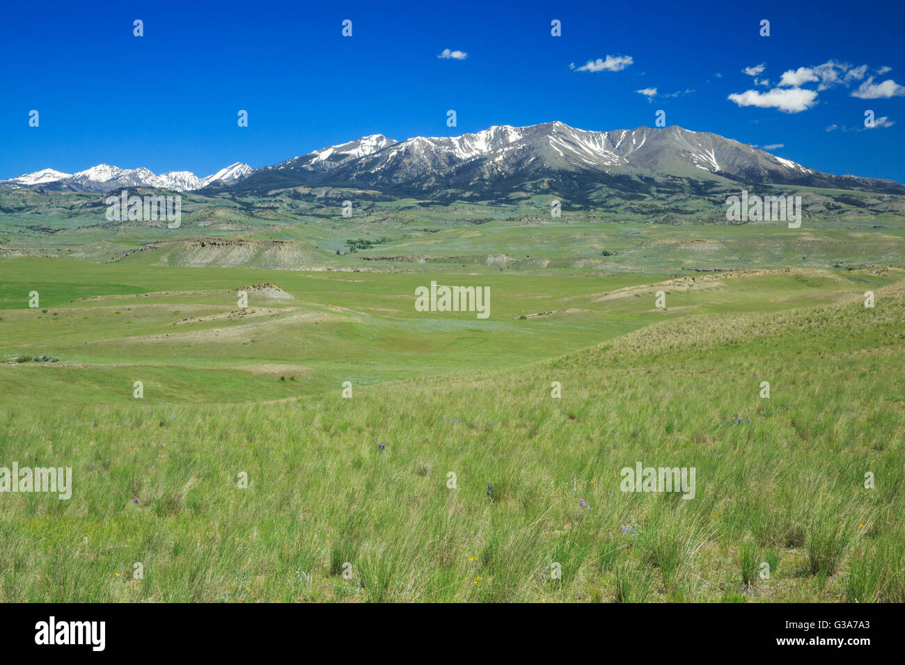 Open spaces of nature hi-res stock photography and images - Alamy