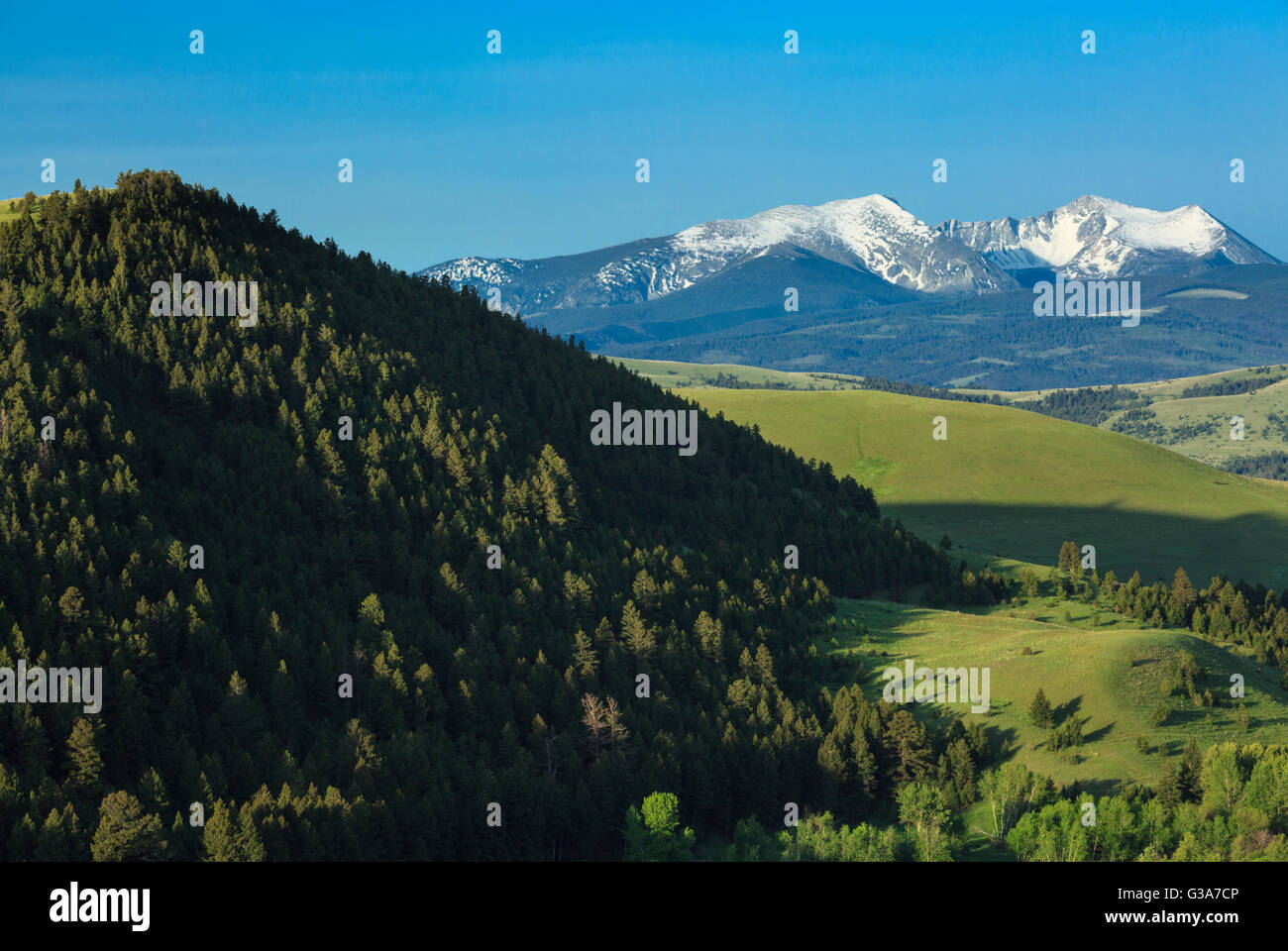 deer lodge mountain and mount powell in the flint creek range near ...