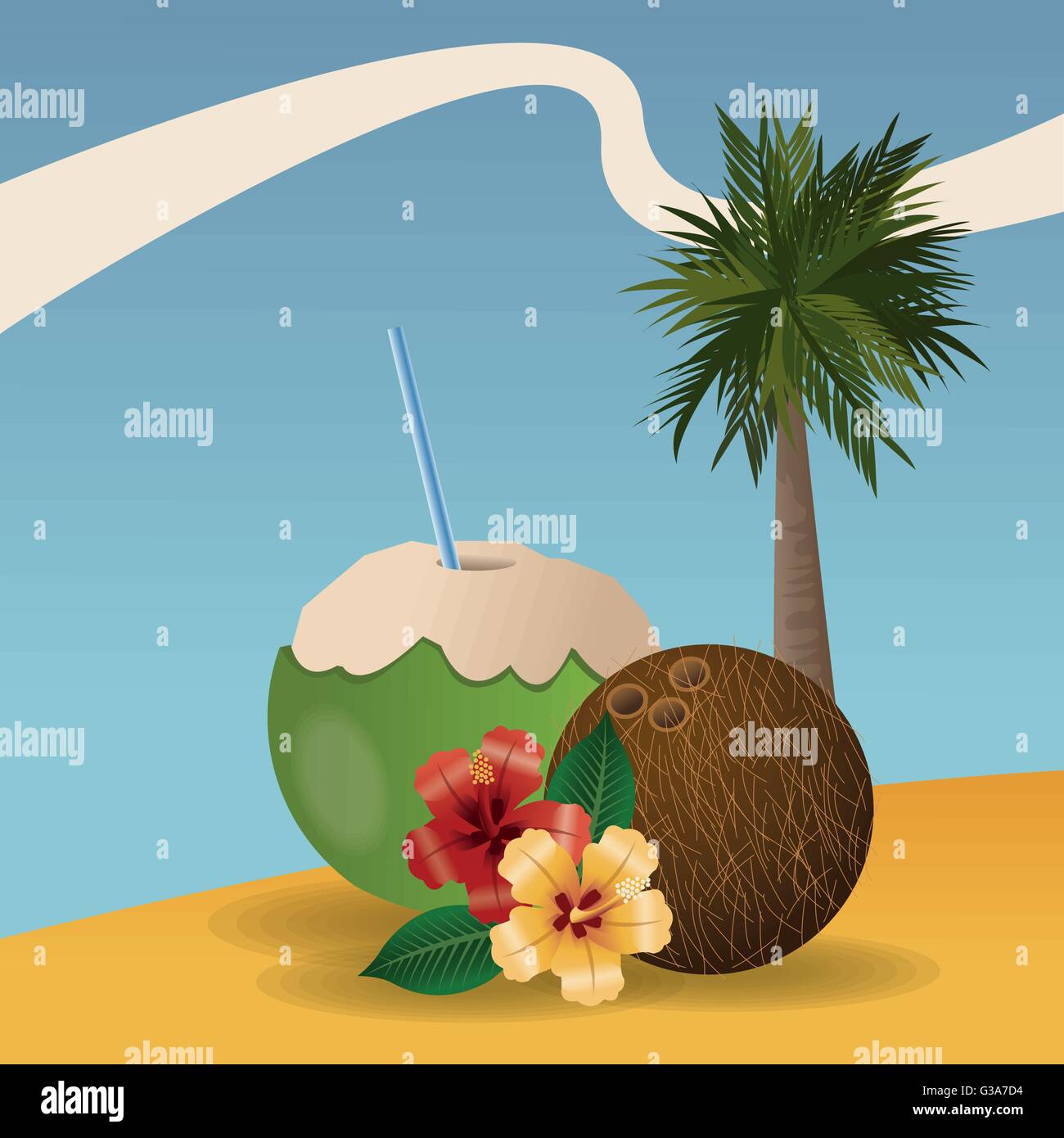 Coconut palm detail Stock Vector Images - Alamy