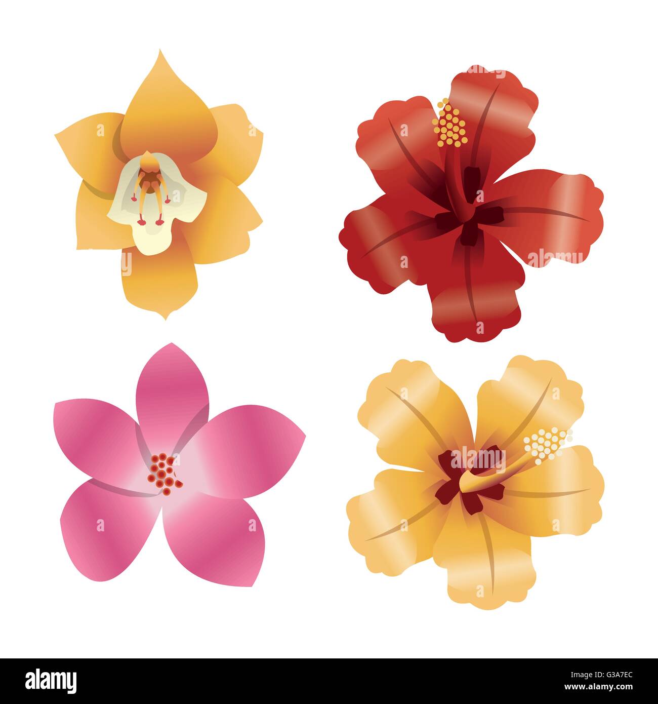 Tropical icon design Stock Vector Image & Art - Alamy