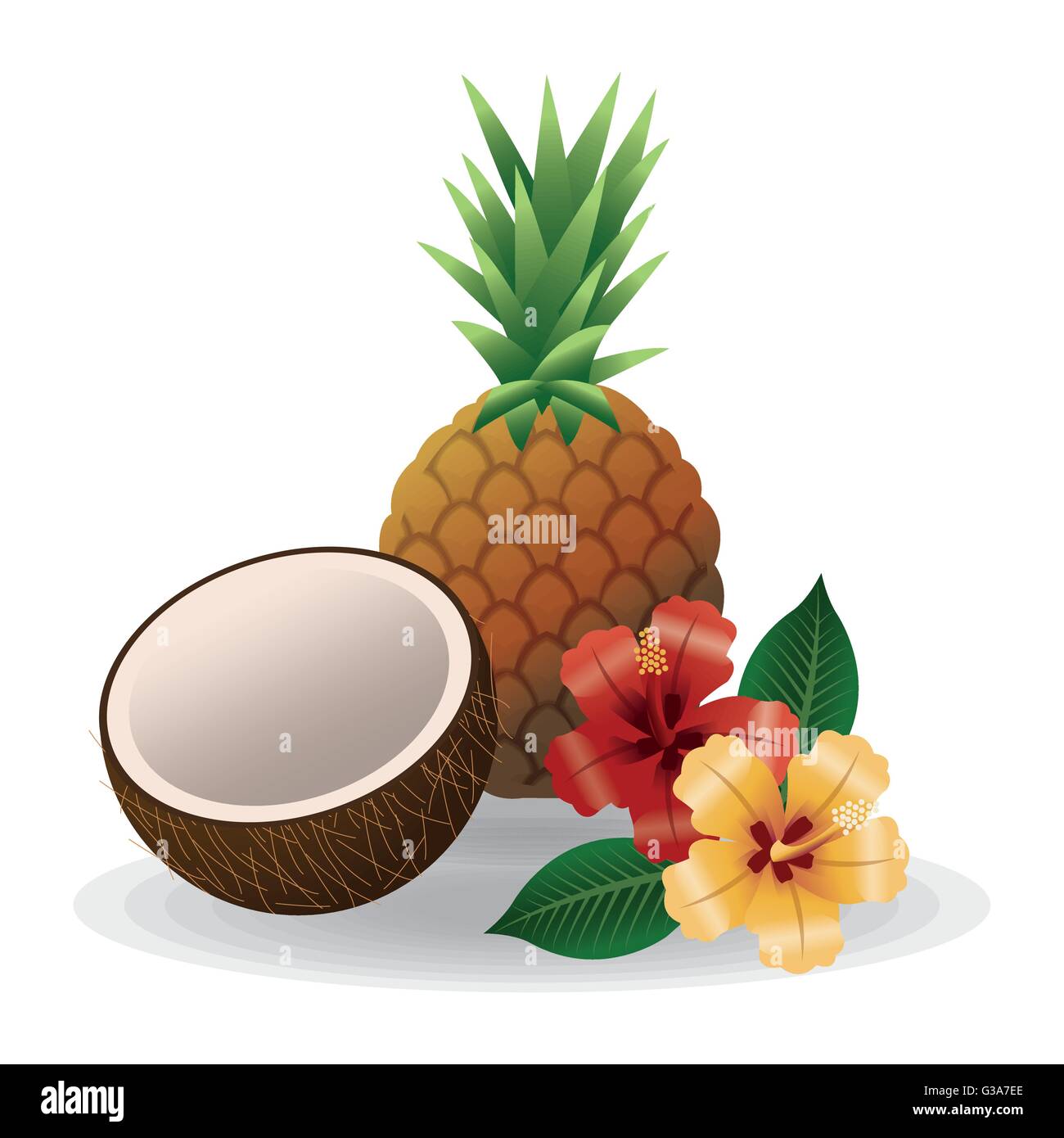 Coconut flower detail Stock Vector Images - Alamy