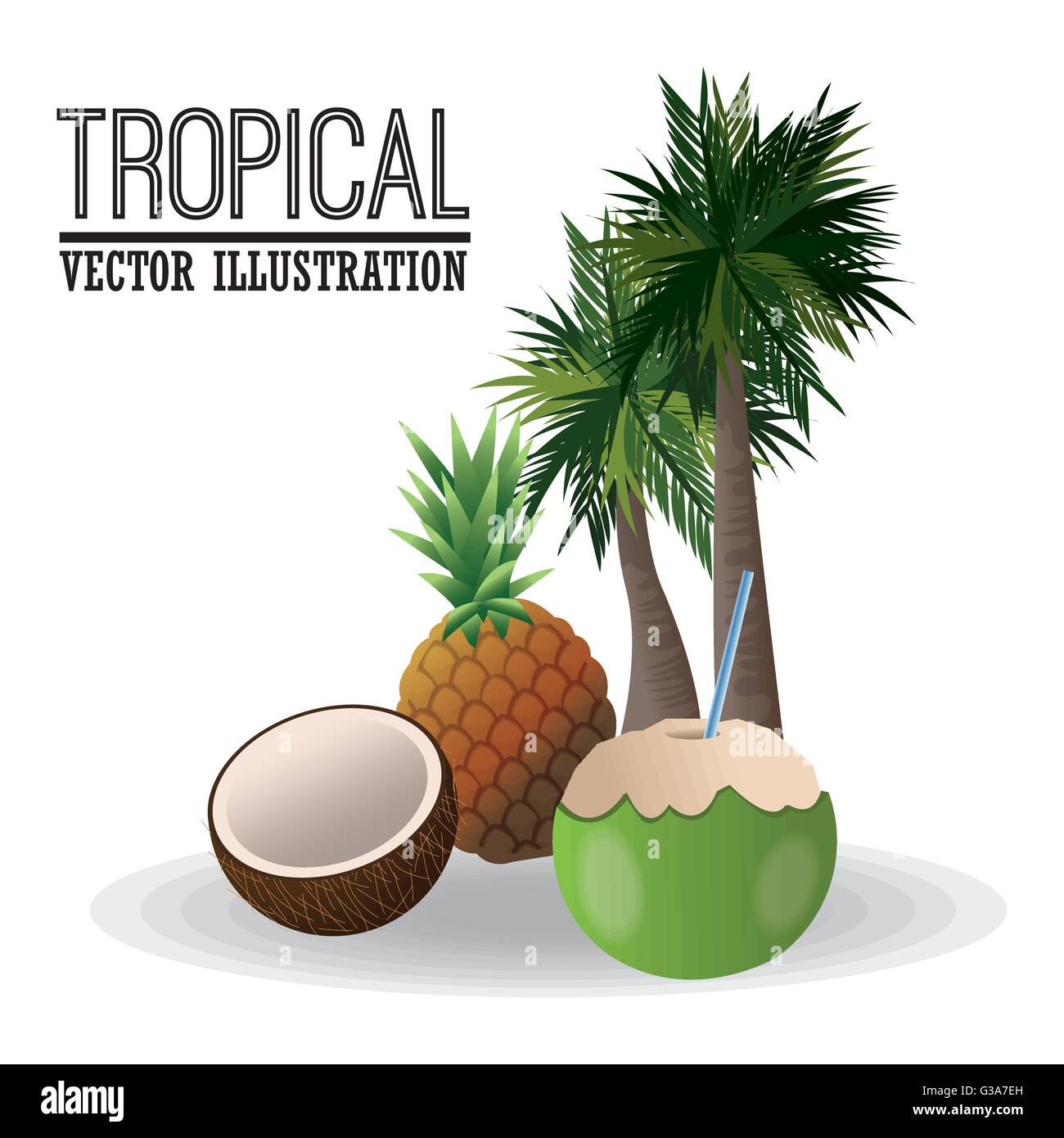Coconut palm detail Stock Vector Images - Alamy