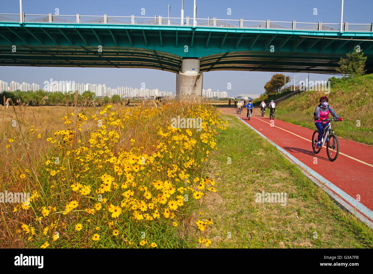 Yeongsan River bike path in Gwangju Stock Photo - Alamy