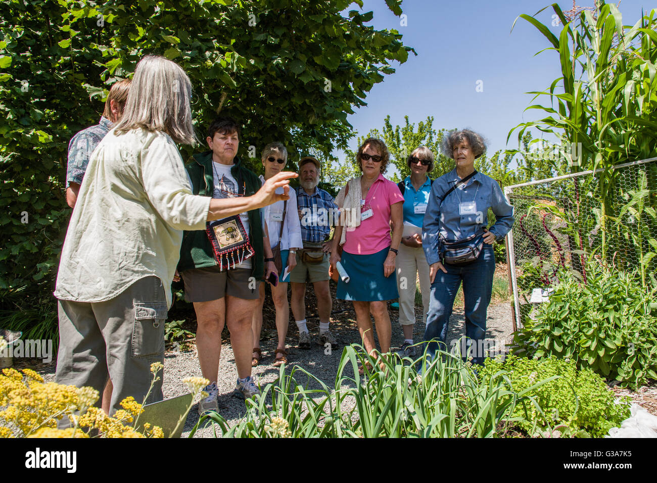 People touring the Pickering Farm Community Garden in Issaquah ...