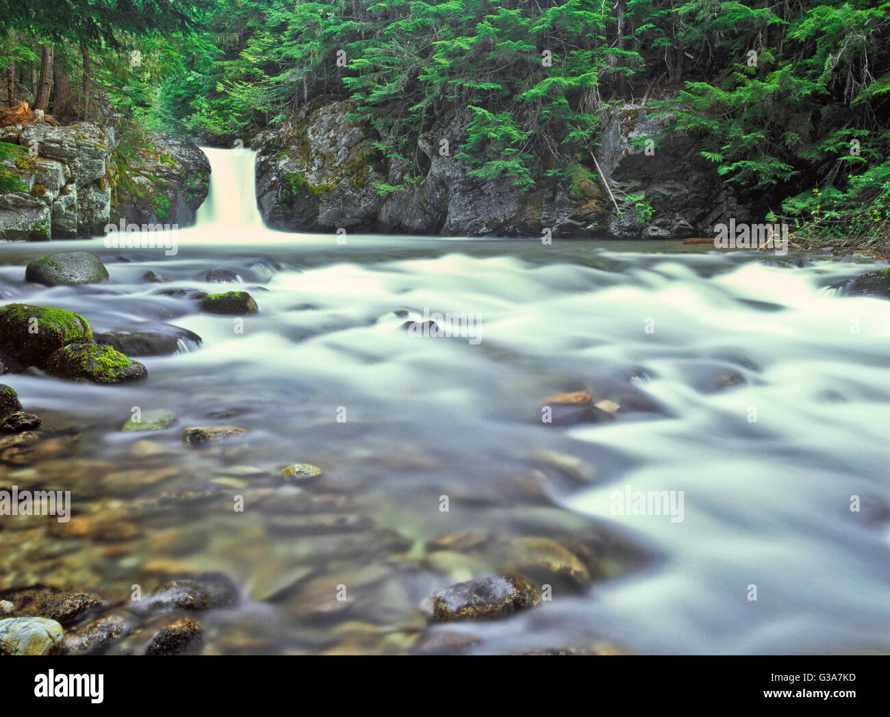 rapids below a waterfall on granite creek in the cabinet mountains ...