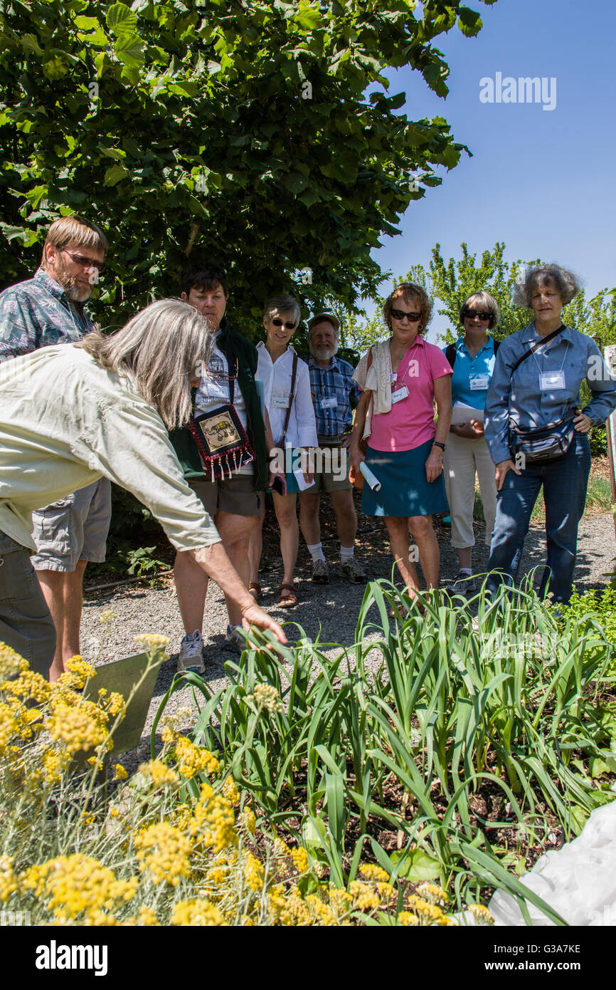 People touring the Pickering Farm Community Garden in Issaquah ...