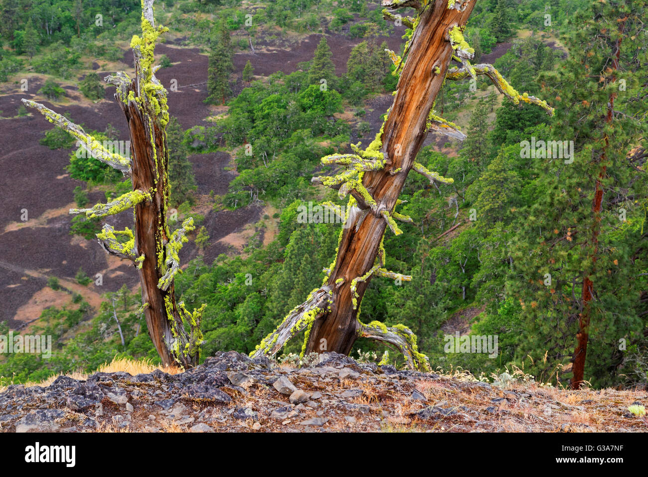 Overlooking valley of the dead hi-res stock photography and images - Alamy