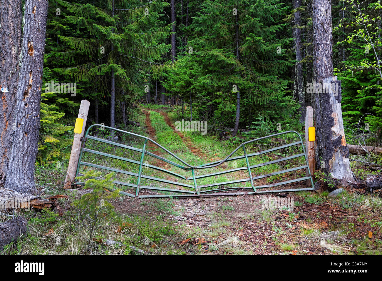 Broken metal gate hi-res stock photography and images - Alamy