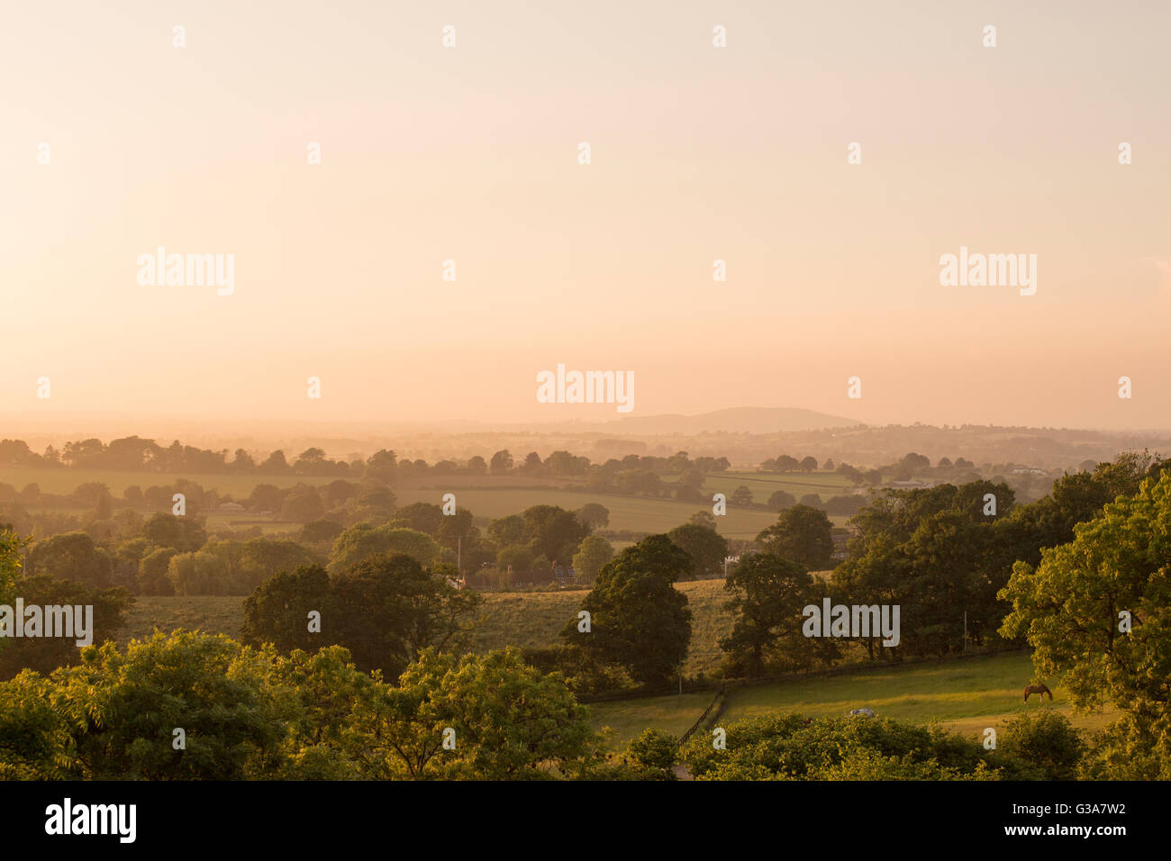 Dorset's Blackmore Vale countryside evening Stock Photo - Alamy