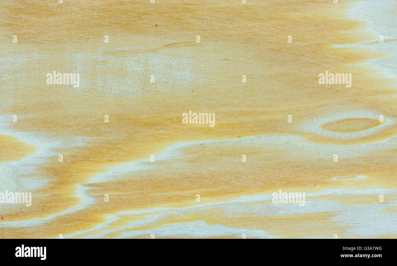 Part of Larch tree wood texture Stock Photo - Alamy