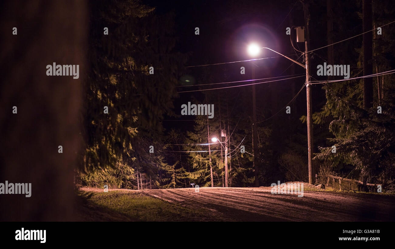 Woods night nighttime hi-res stock photography and images - Alamy