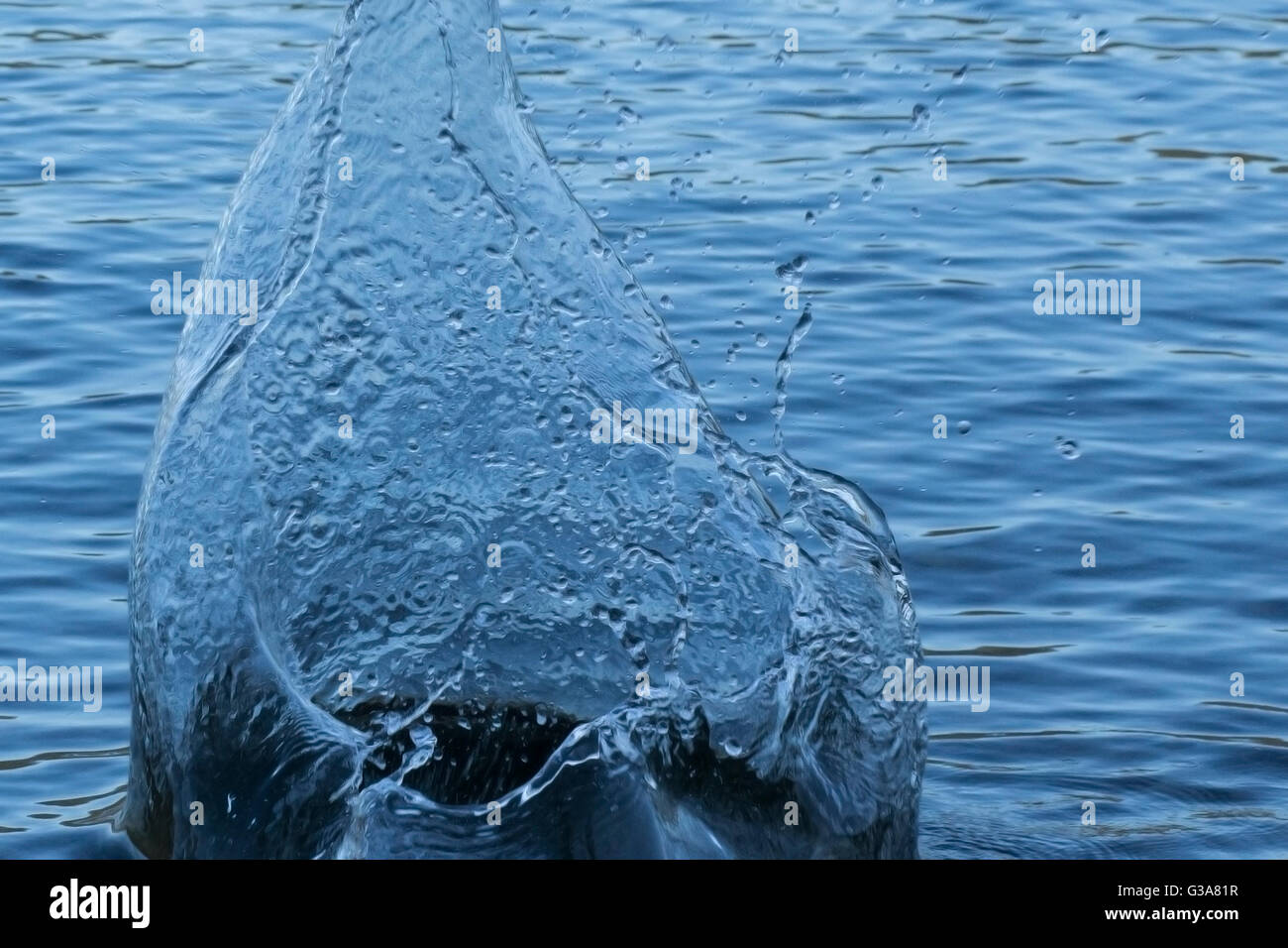 A_ slash hi-res stock photography and images - Alamy