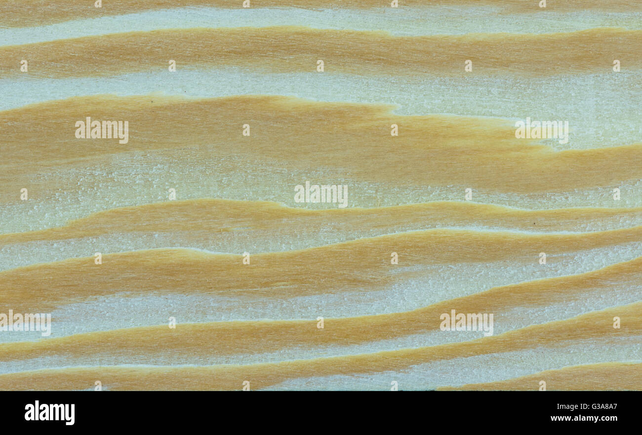 Part of Larch tree wood texture Stock Photo - Alamy