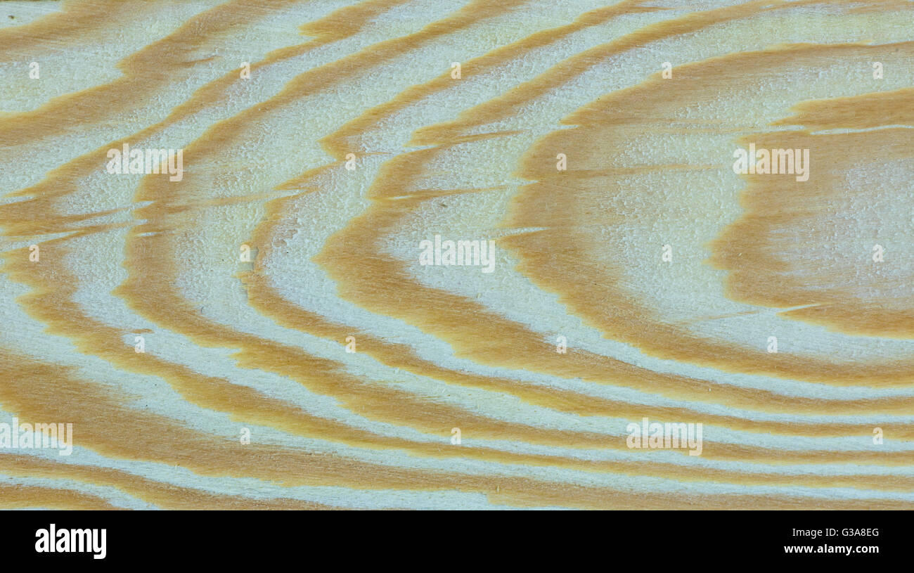 Part of Larch tree wood texture Stock Photo - Alamy