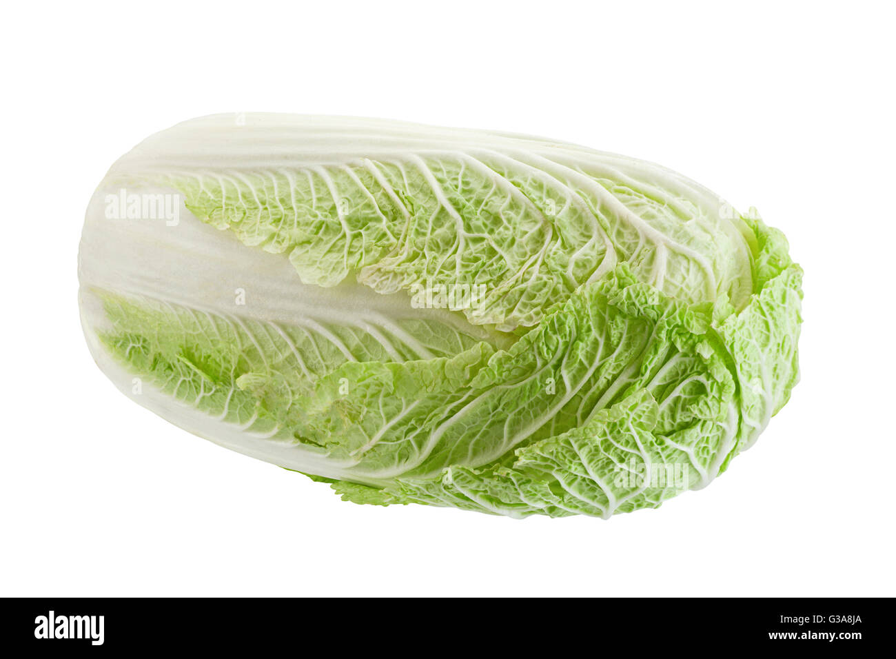 Chinese cabbage vegetable isolated on white background Stock Photo - Alamy