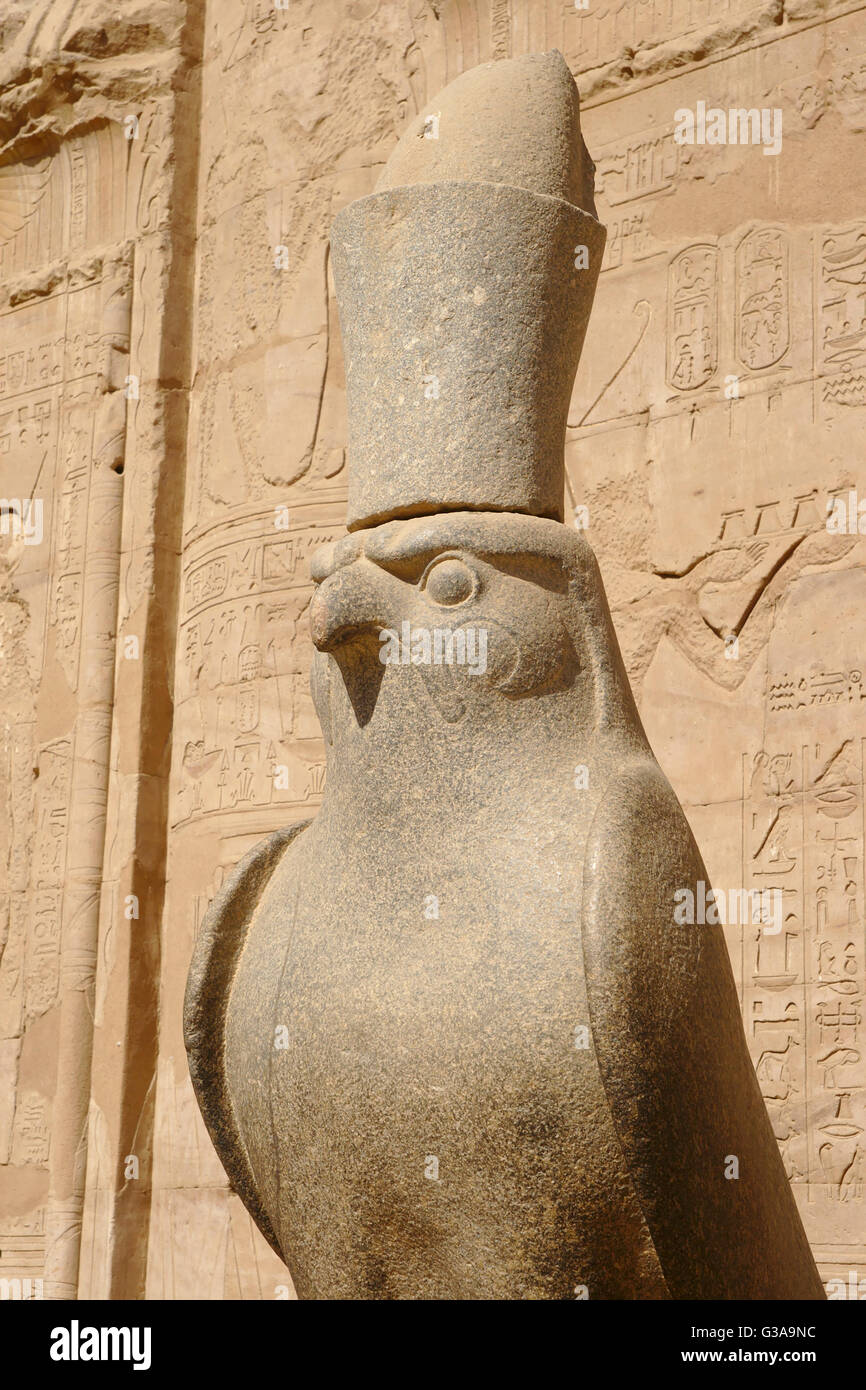 Falcon statue, Temple of Horus, Edfu, Egypt Stock Photo - Alamy