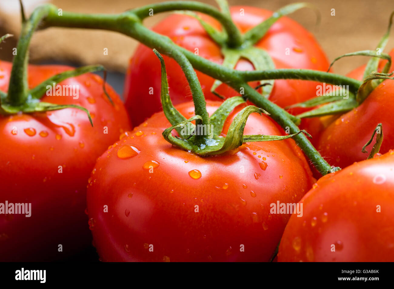 branch of organic tomatoes close-up on a dark background Stock Photo ...