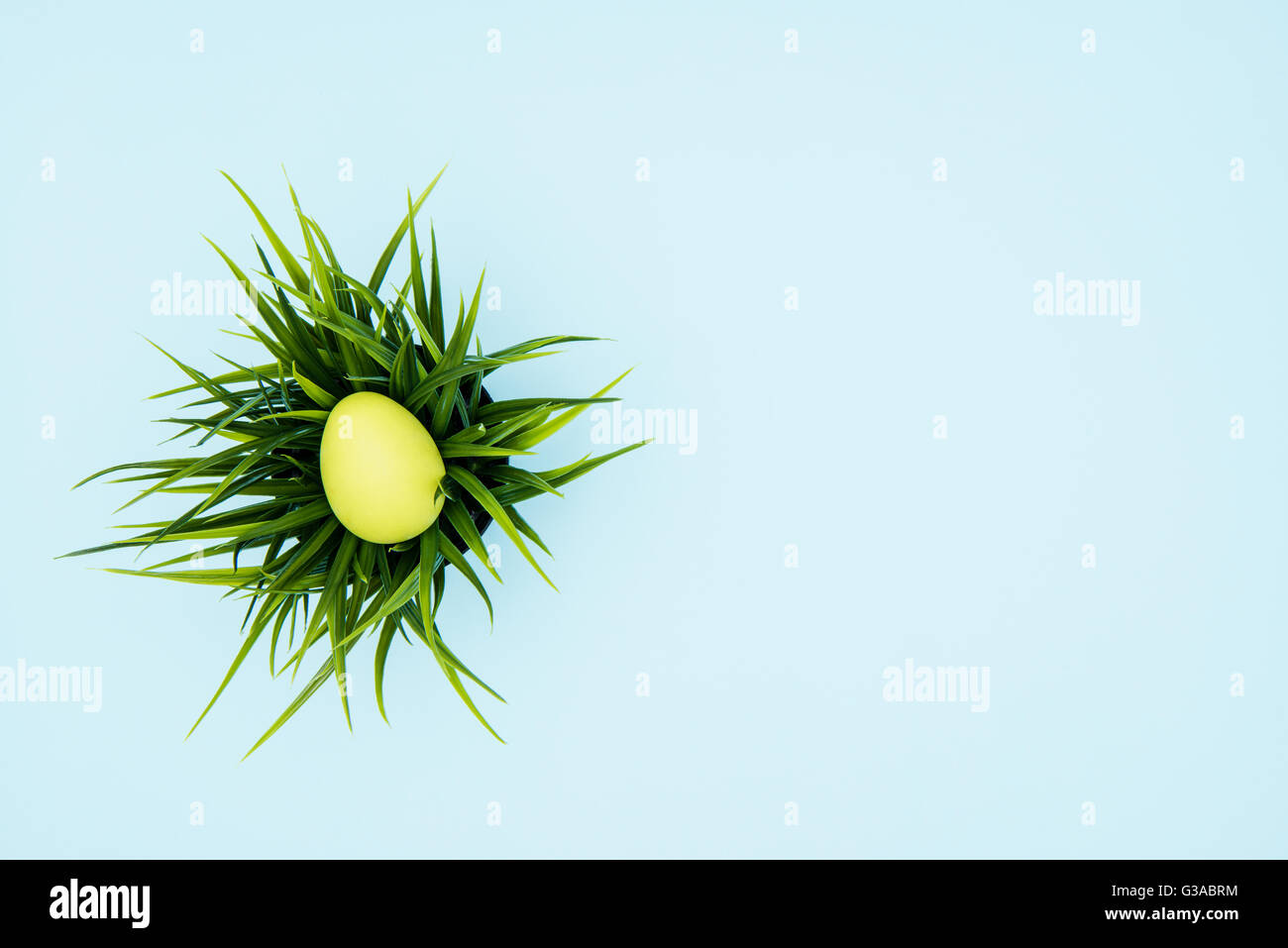 Pastel green grass hi-res stock photography and images - Alamy