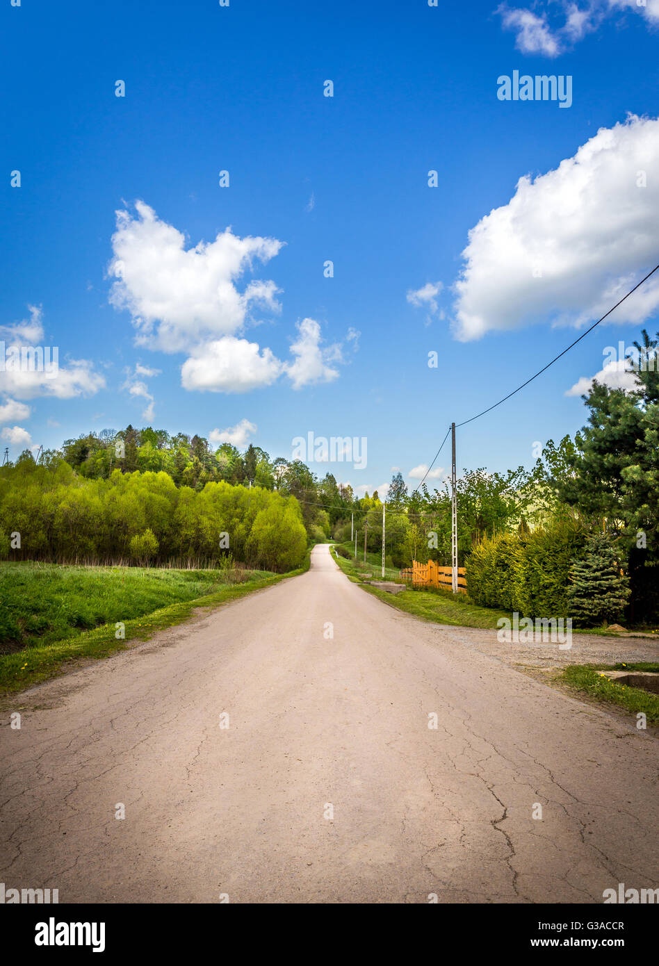 Rural landscape. Long straight road, forest and blue sky Stock Photo ...