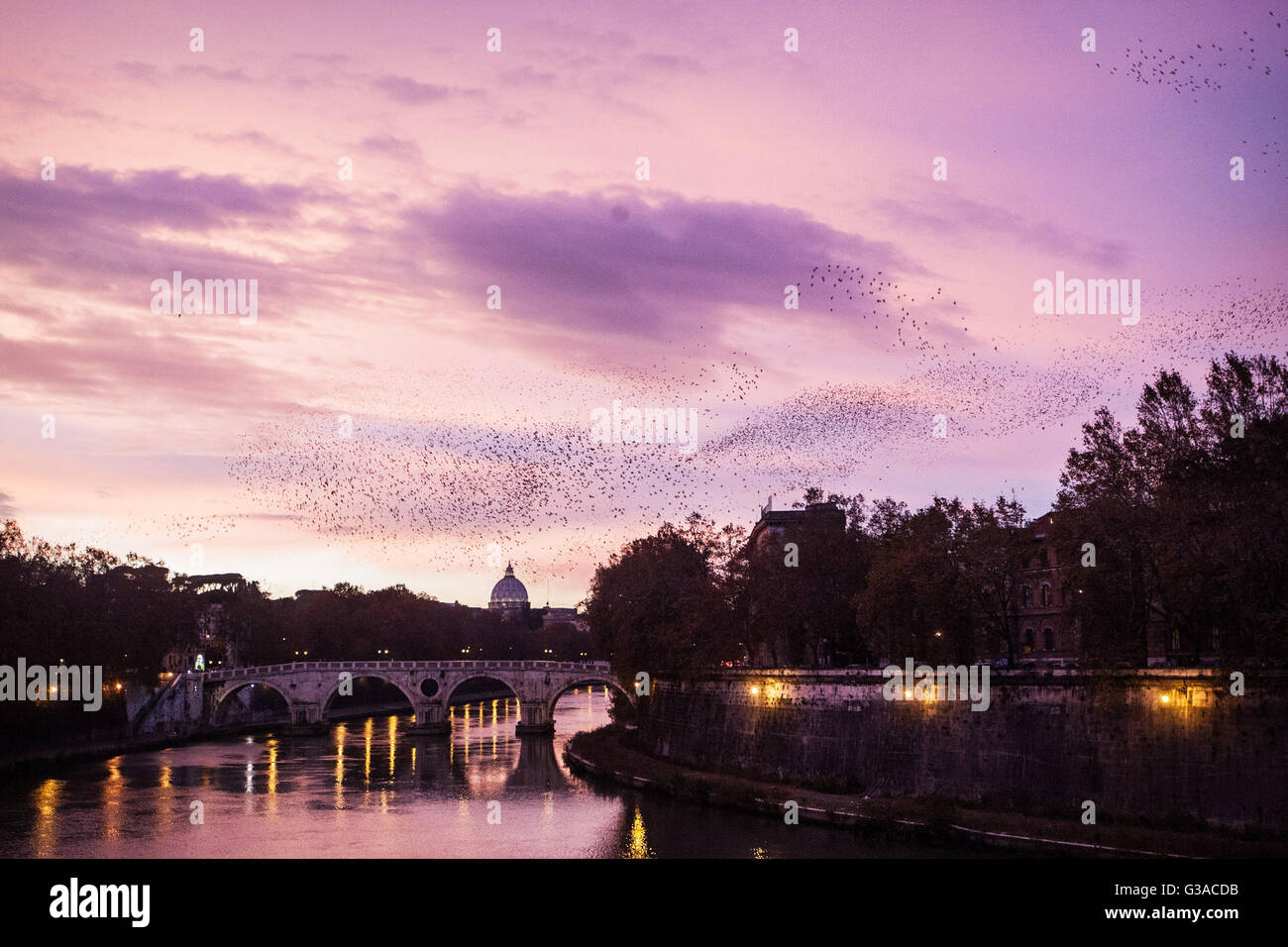 Italy, Lazio, Rome, flock of birds in the sky Stock Photo - Alamy