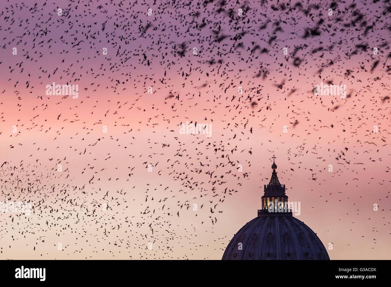 Italy, Lazio, Rome, flock of birds in the sky Stock Photo - Alamy