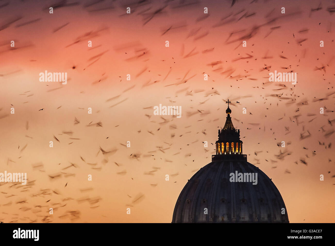 Italy, Lazio, Rome, flock of birds in the sky Stock Photo - Alamy