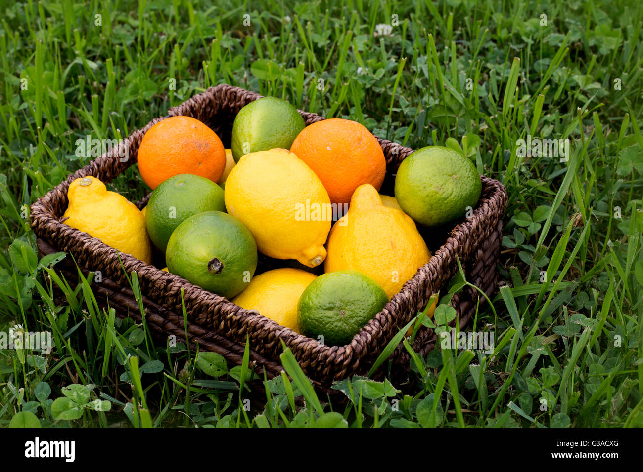 Red grapefruit basket hi-res stock photography and images - Alamy