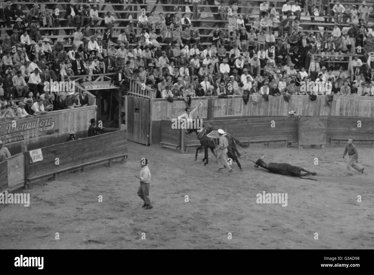 Bullfight History High Resolution Stock Photography and Images - Alamy