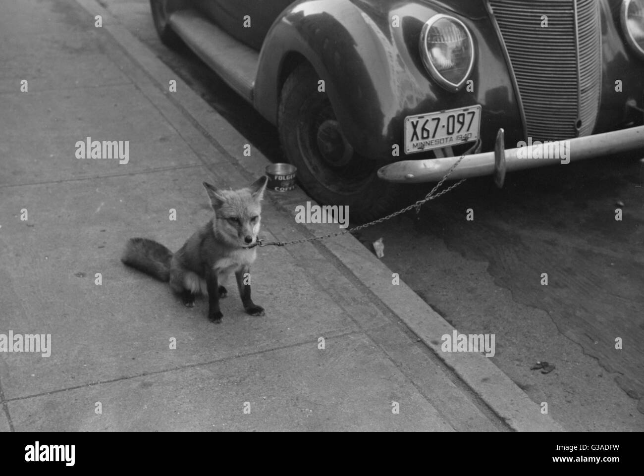 Chained hi-res stock photography and images - Alamy