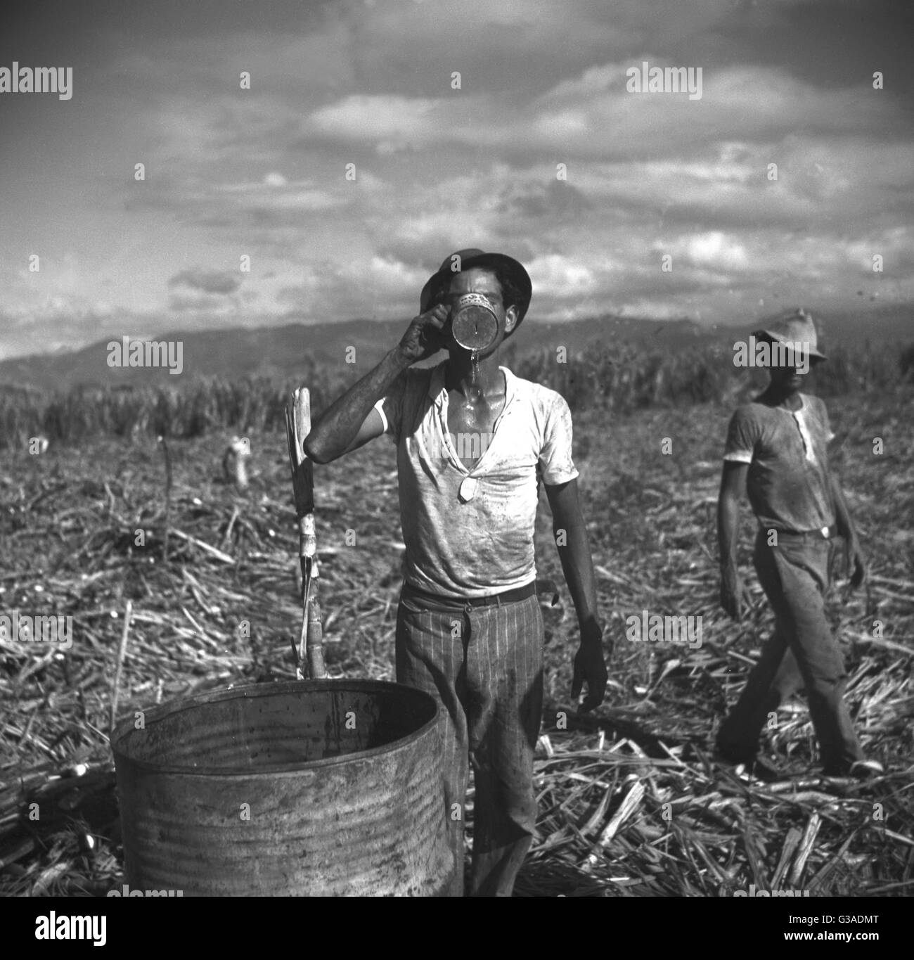 Puerto rico sugar worker taking hi-res stock photography and images - Alamy