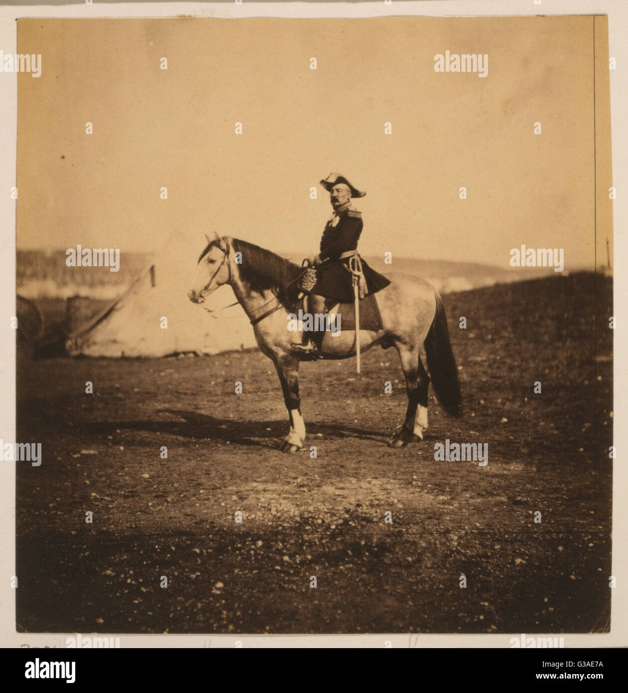 Bayard horse hi-res stock photography and images - Alamy