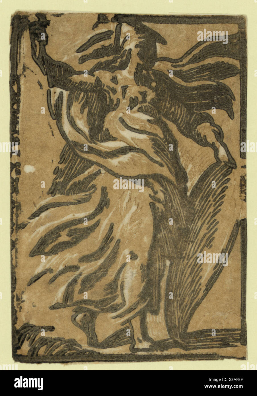 Pallas print showing pallas hi-res stock photography and images - Alamy