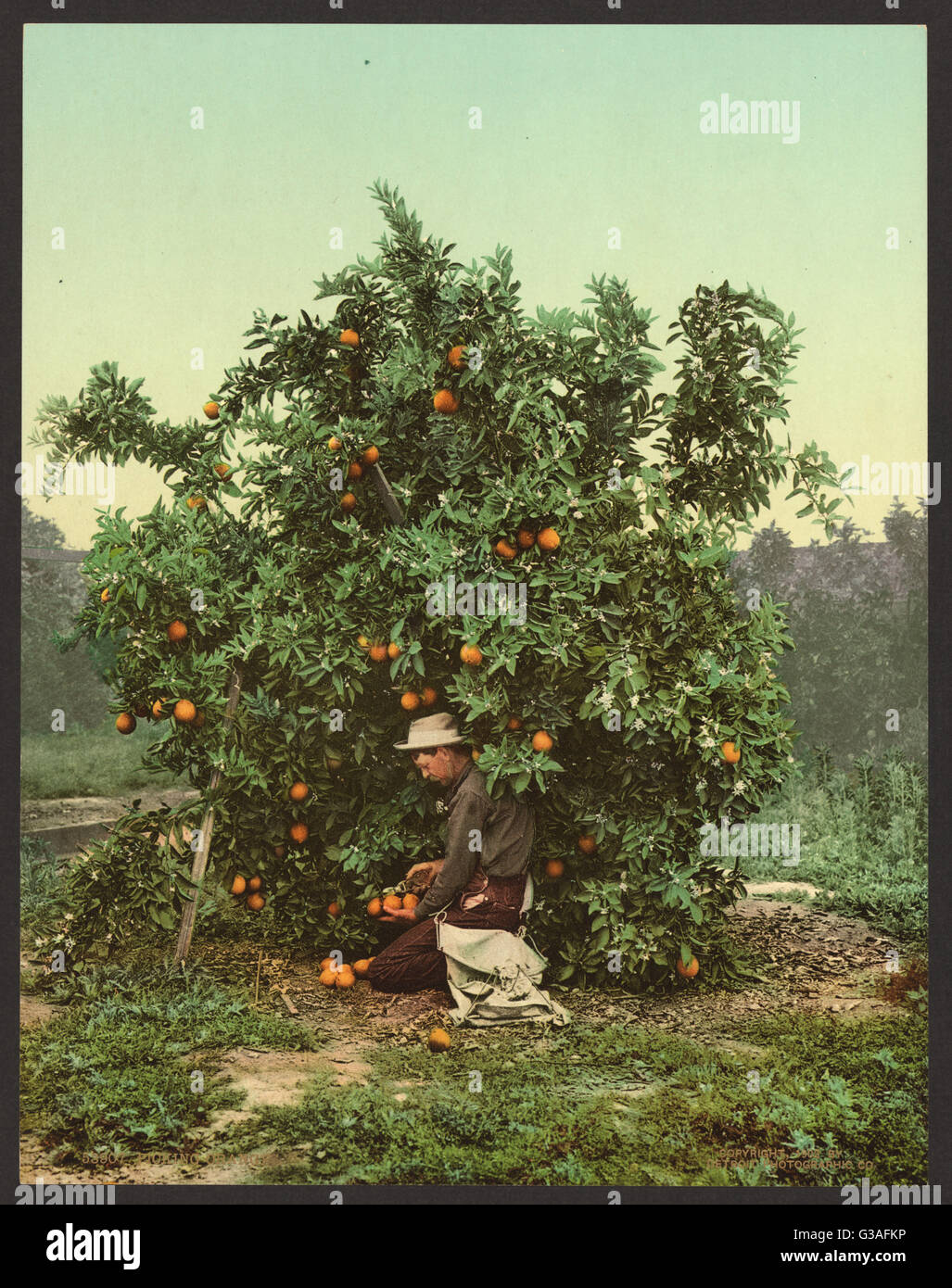 Date picking hi-res stock photography and images - Alamy