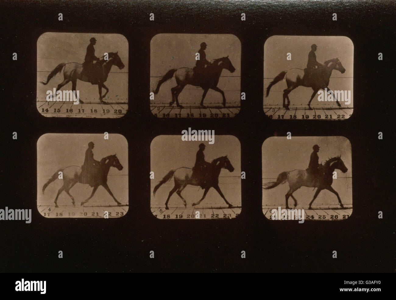 Irregular hi-res stock photography and images - Alamy