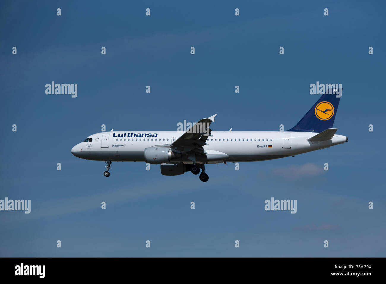 Airbus a320 300 hi-res stock photography and images - Alamy