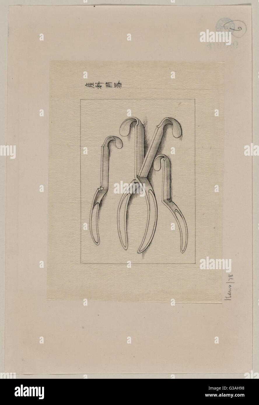 Obstetrical forceps hi-res stock photography and images - Alamy