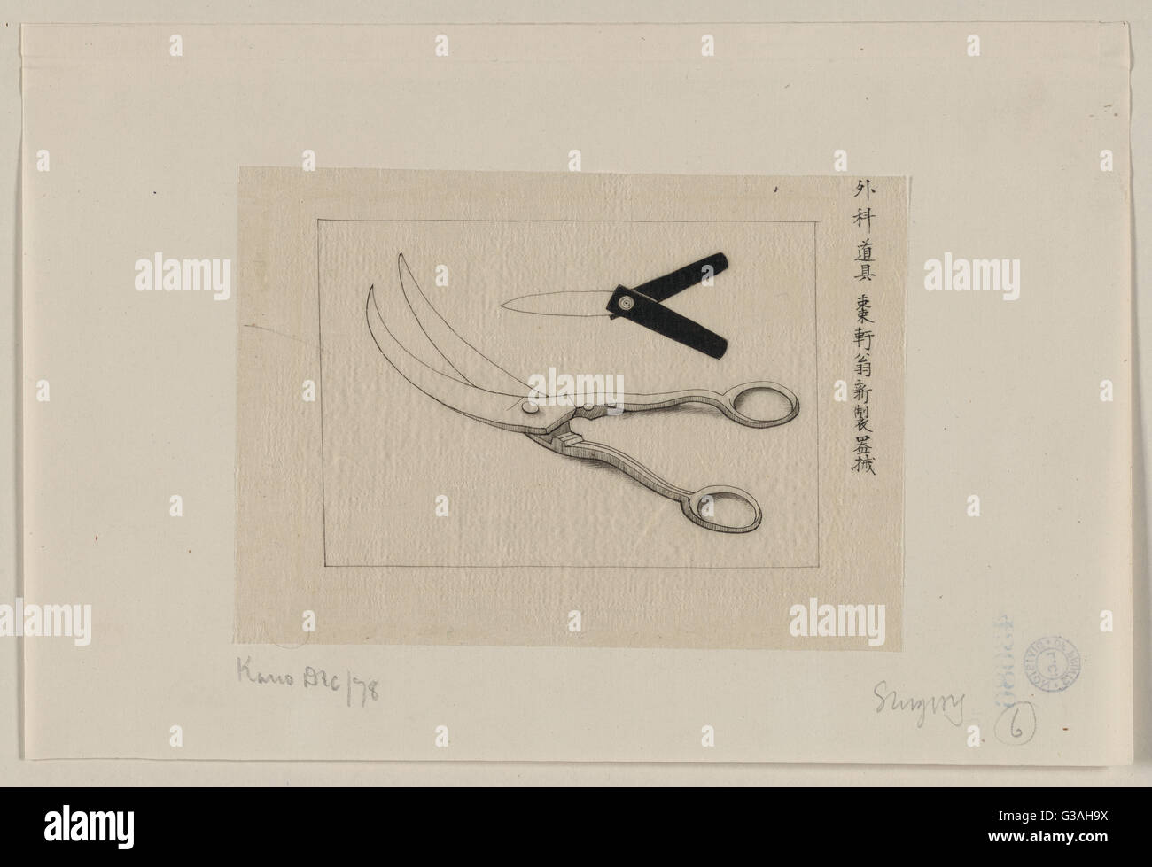 Surgery scissors and lancet Stock Photo - Alamy