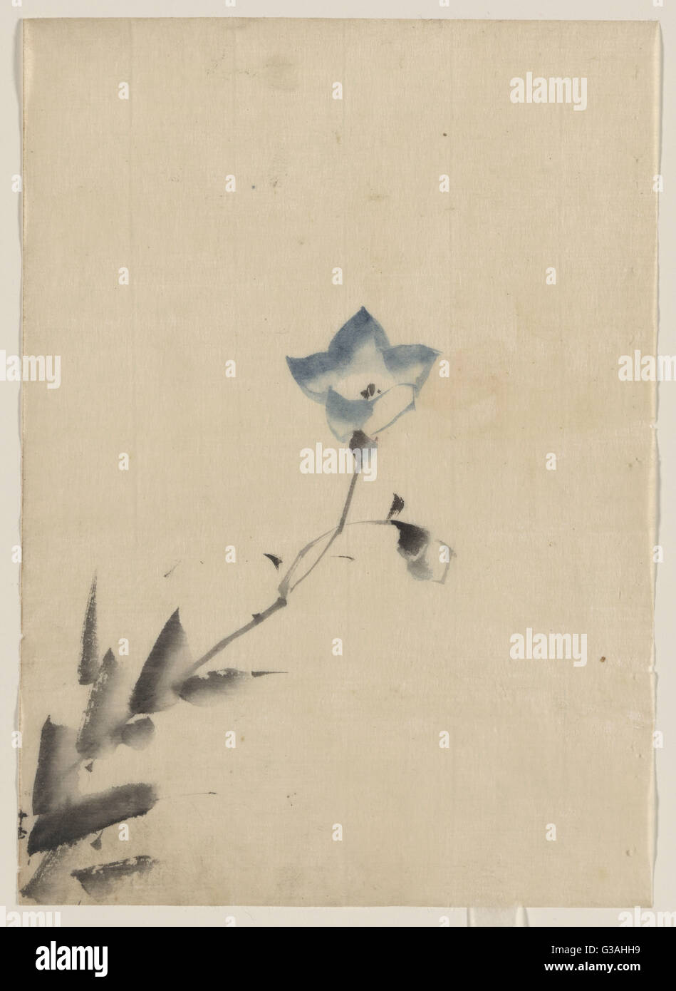 Blue blossom at the end of a stem Stock Photo - Alamy