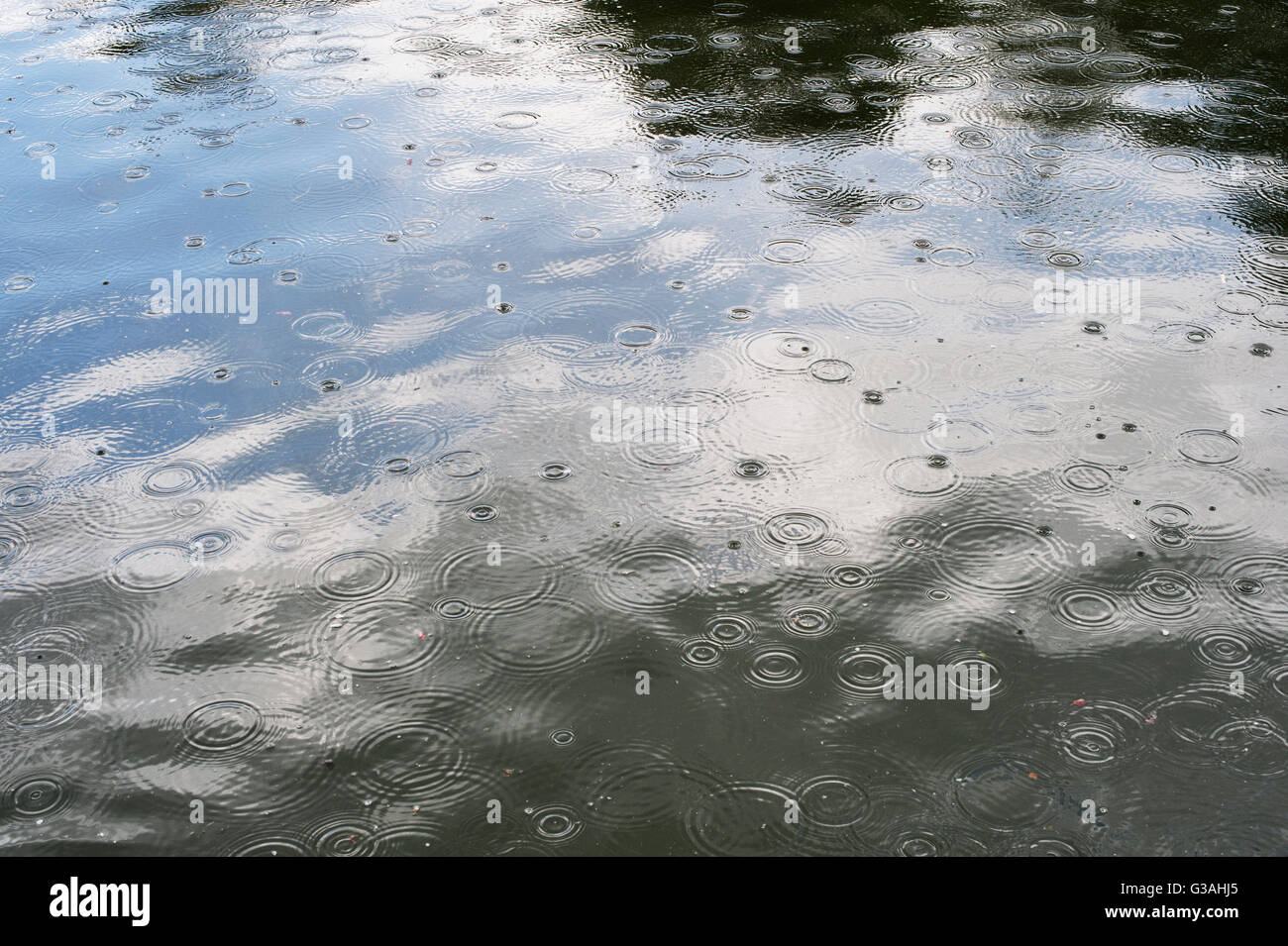 Raindrops on a garden pond Stock Photo - Alamy