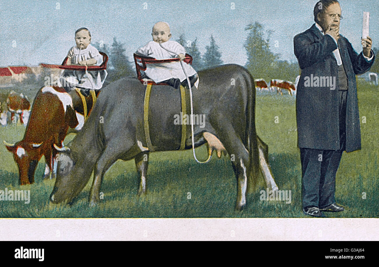 Cow getting milk hi-res stock photography and images - Alamy