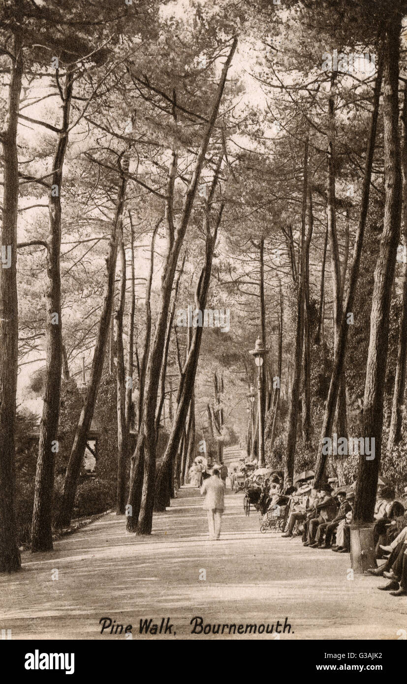 Pine Walk - Bournemouth, Dorset, England Stock Photo - Alamy