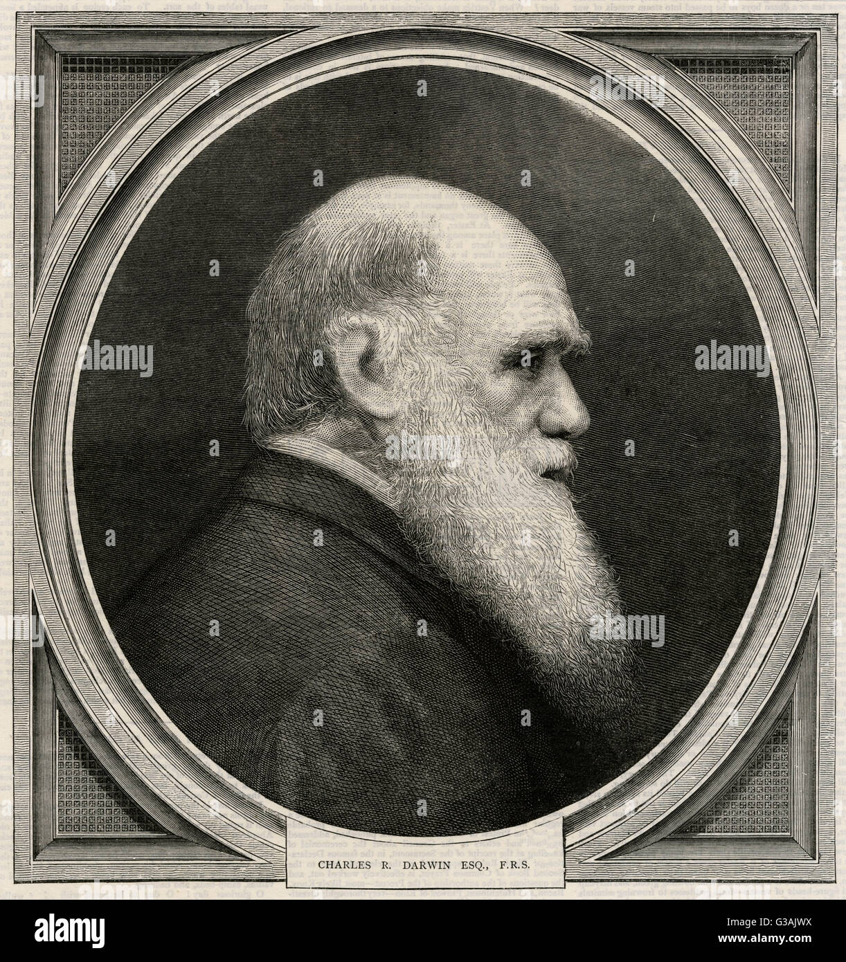 1875 1882 High Resolution Stock Photography and Images - Alamy